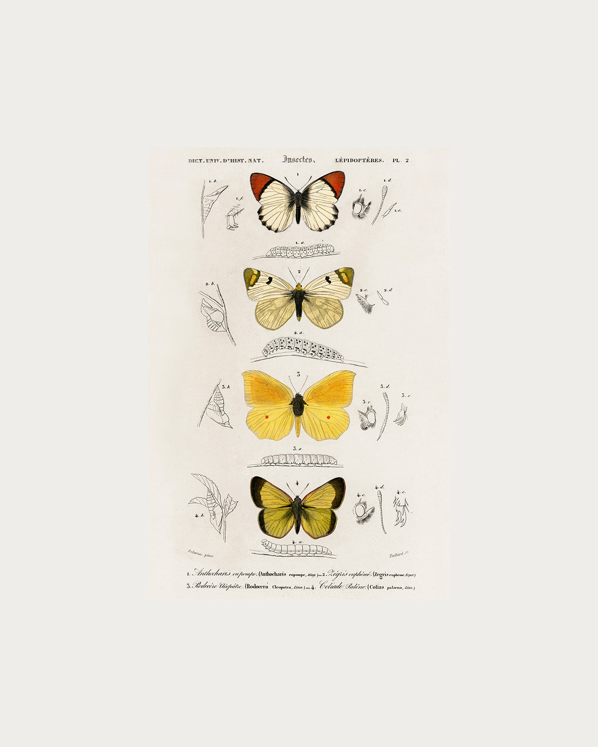 Butterfly Stack – Maris Home